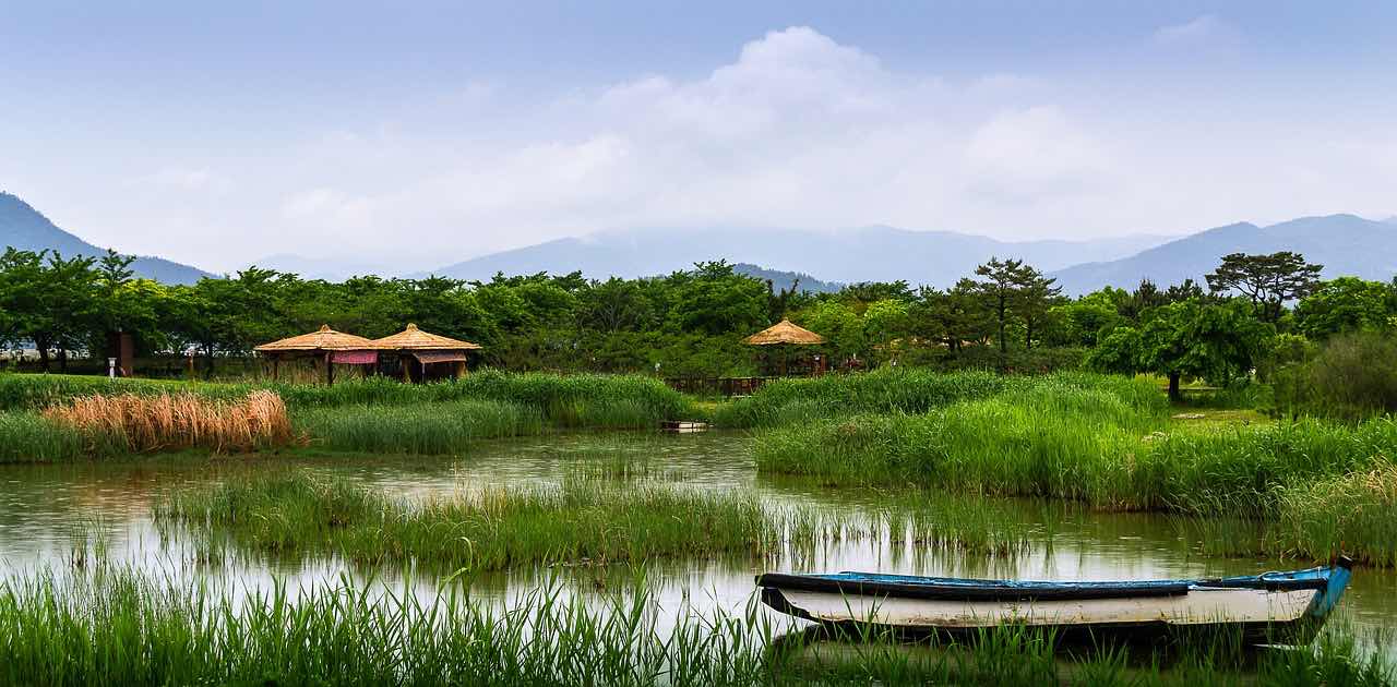 Korea Destinations: Suncheon Bay Reeds Festival