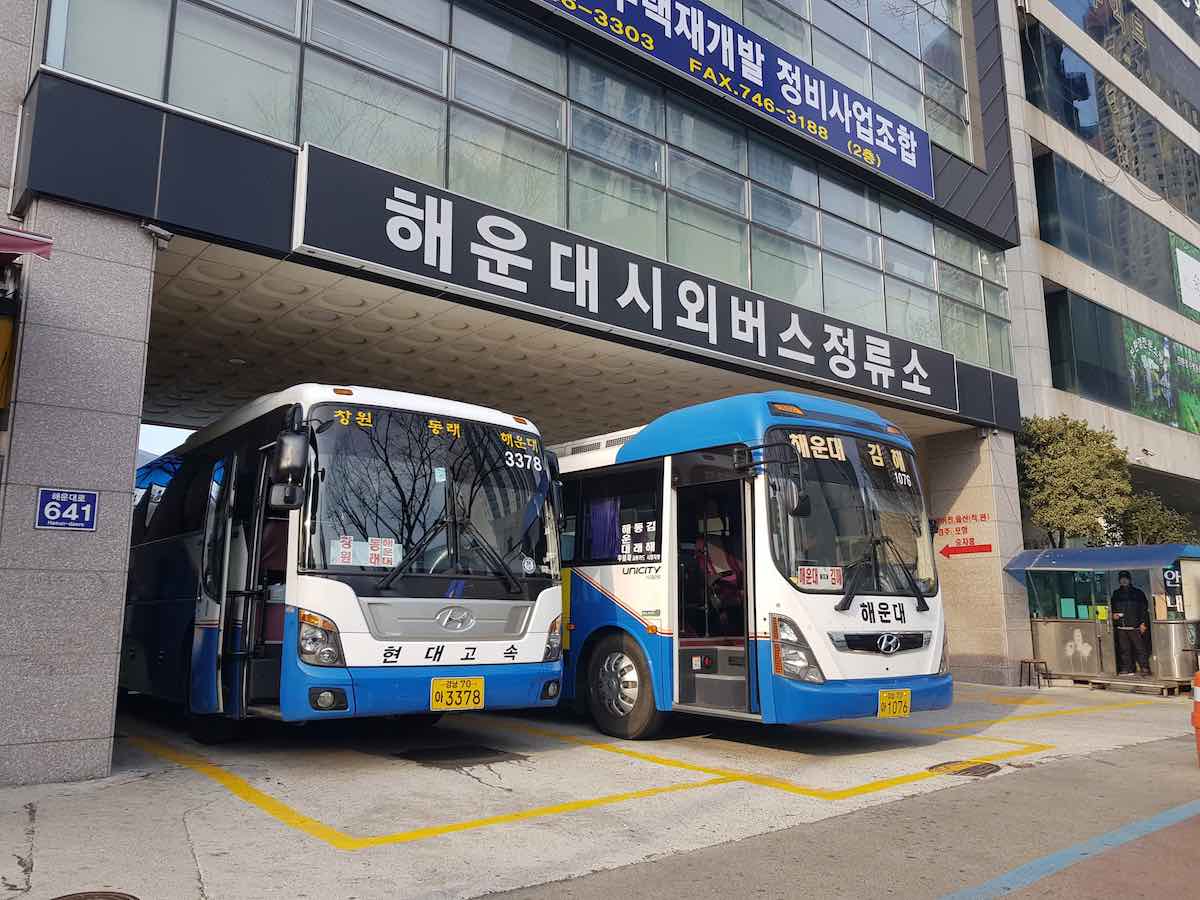Busan to Launch Overhaul of City Bus Routes to Enhance Accessibility ...