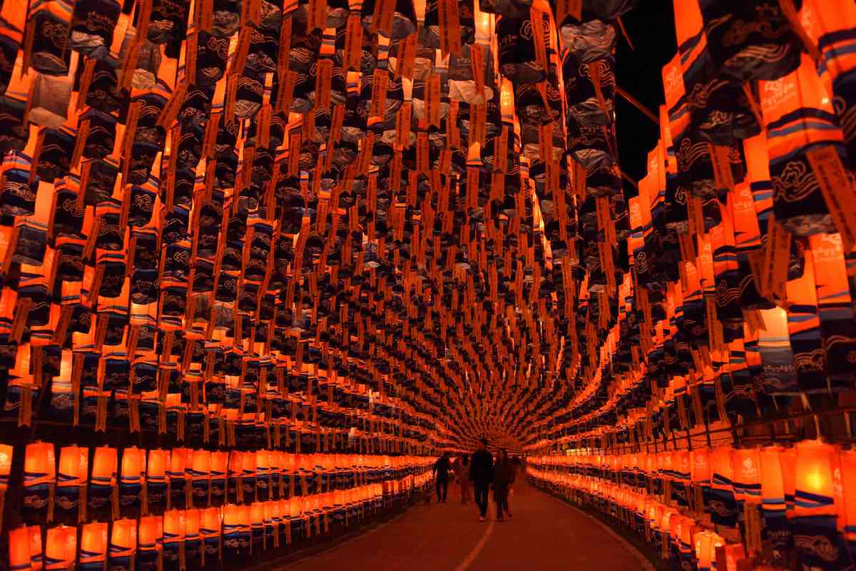 Jinju Namgang Yudeung Festival to Start Application Process for the ...