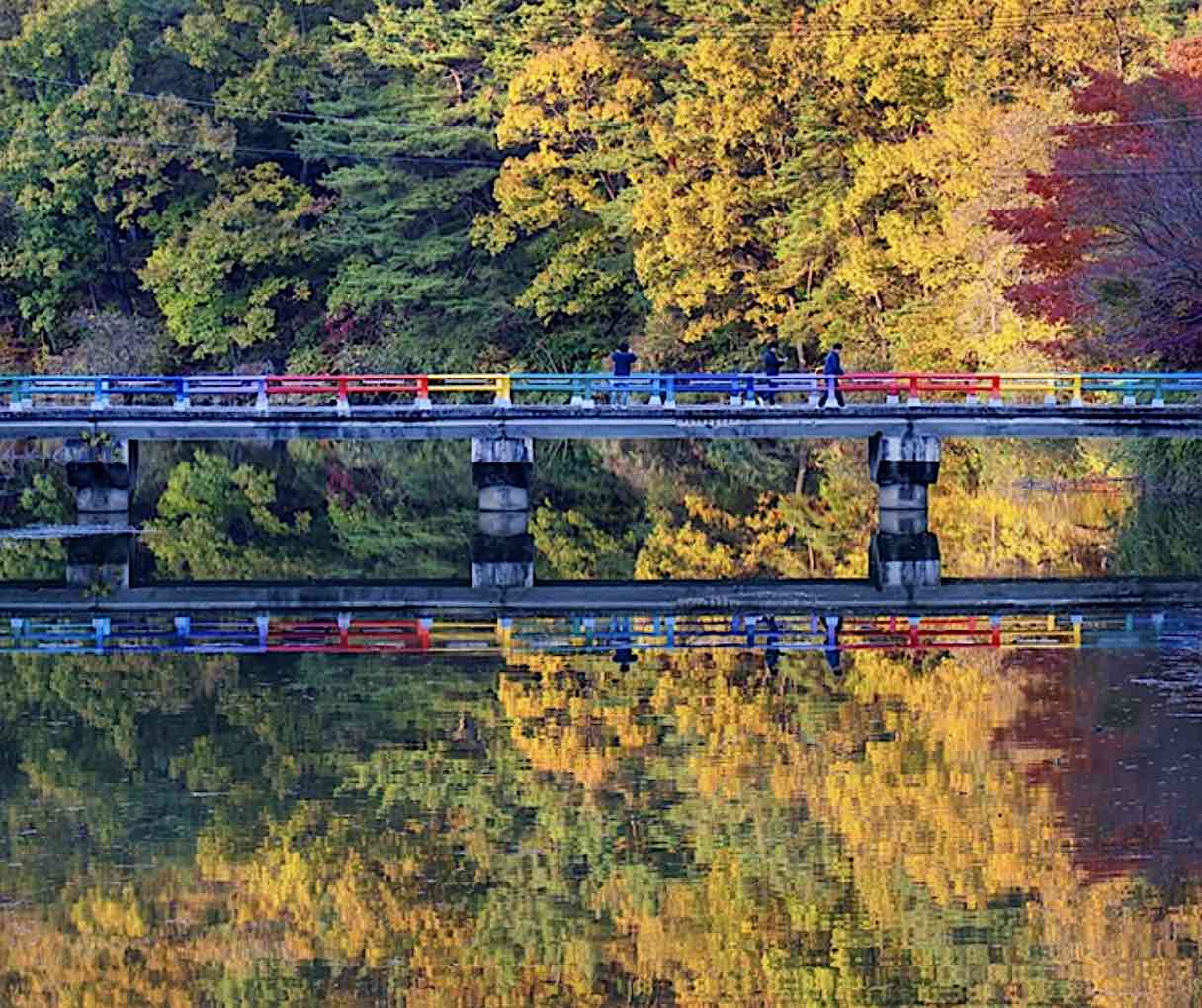 Korea Destinations: Embrace the Autumn Charm of Ipgok County Park in ...