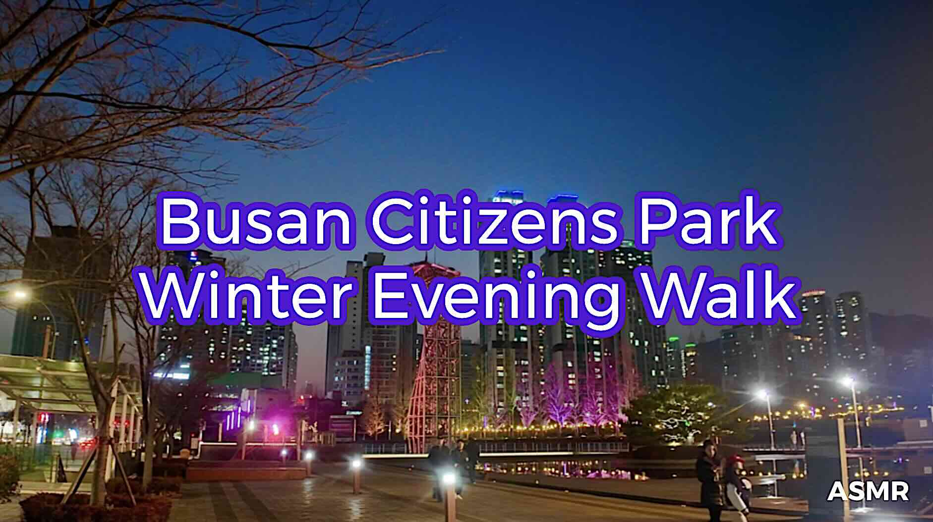Take ASMR Evening to Night Walk in Busan Citizens Park